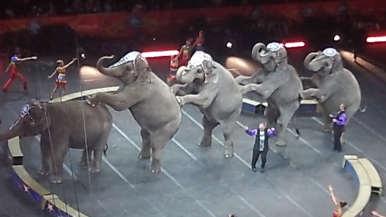 Ringling Brothers Circus – Putting Smiles on Faces • Janeane's World ...