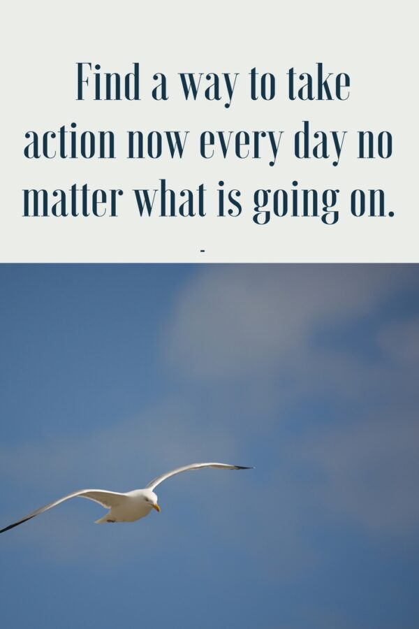 Take Action Now No Matter What is Happening • Janeane's World ...